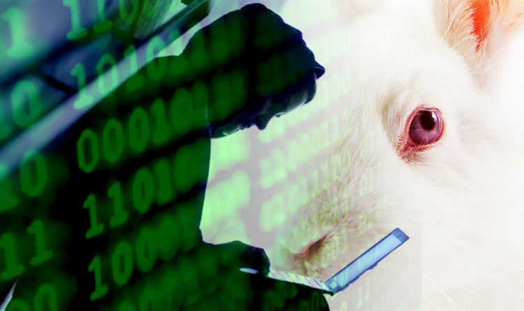 Nuovo ransomware White Rabbit - Rivista Cybersecurity Trends